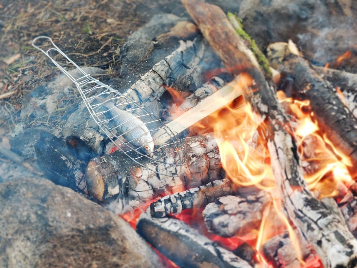 Accessorise Your BBQ Experience: Must-Have Tools and Gadgets