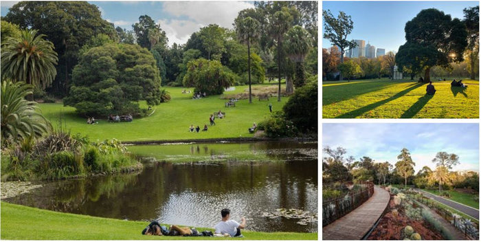 Top 10 Picnic Spots to Have a BBQ in Melbourne